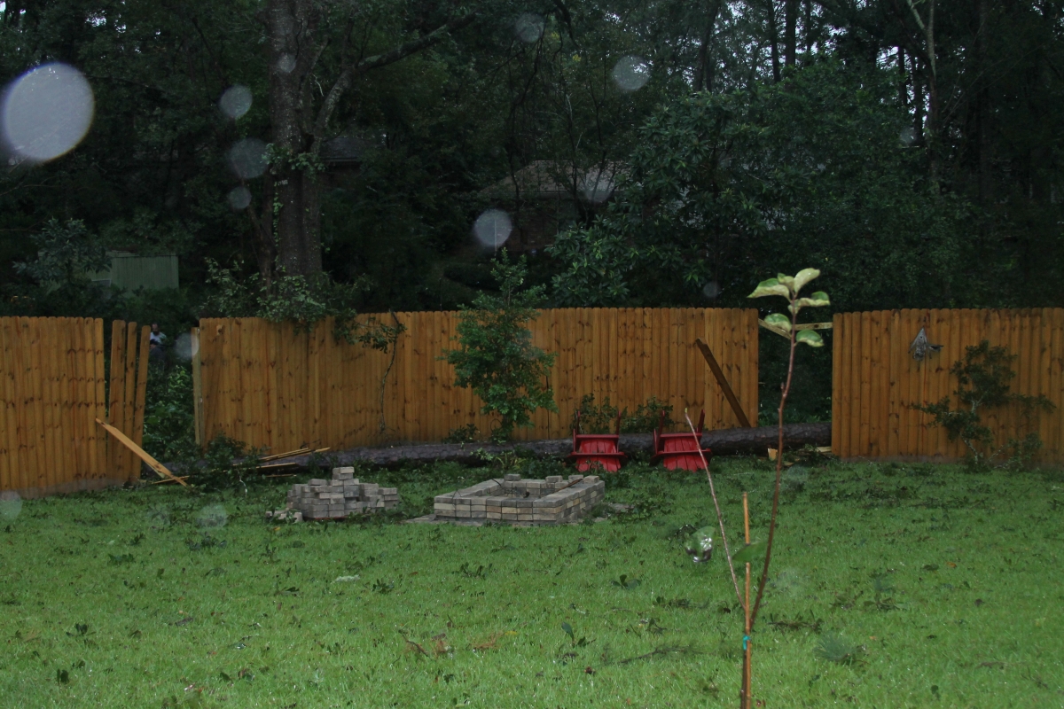 Florida Memory • Fence damaged by tree toppled during Hurricane Michael ...