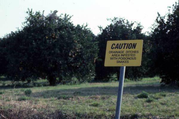 Florida Memory • Sign warning of poisonous snakes in ditch next to ...