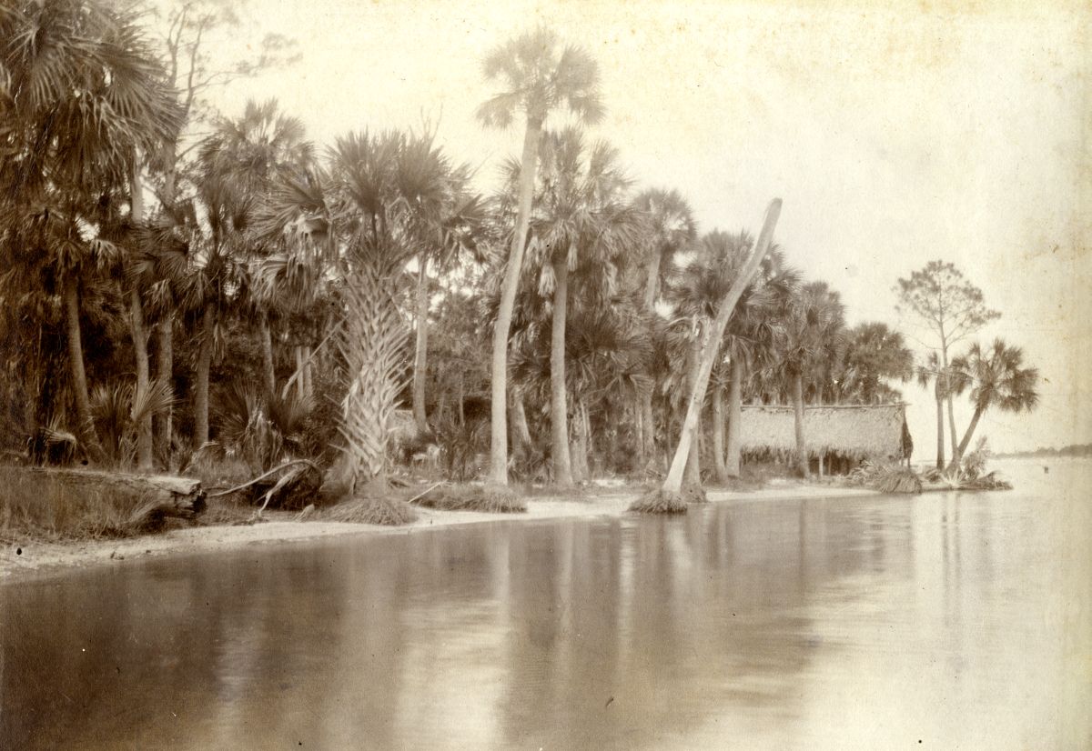 Florida Memory • Coast along Indian Pass in Gulf County, Florida.