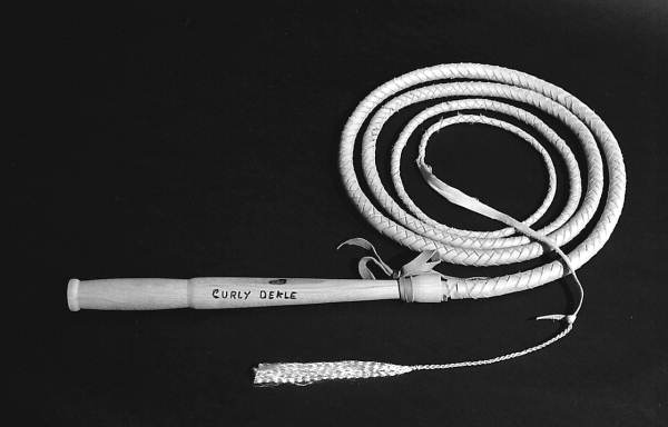 Florida Memory • Curly Dekle's whip