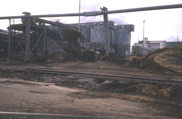 Florida Memory • Timber mill.