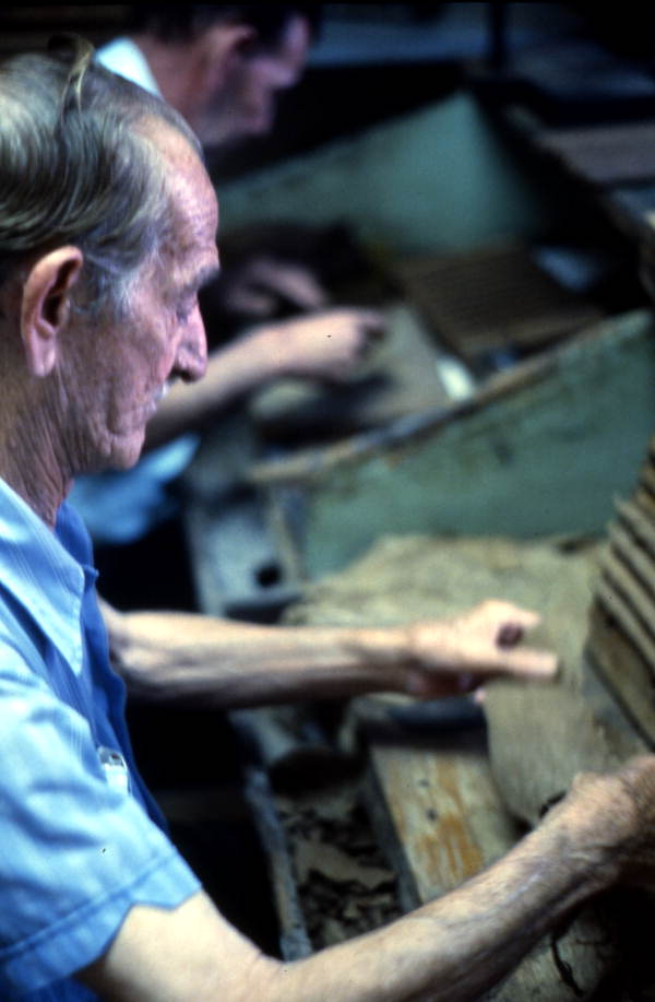 Florida Memory • Cuban American man working at Ramar Cigars in Little ...