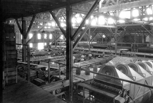 Florida Memory • Interior of Winter Haven Citrus Company packing-house