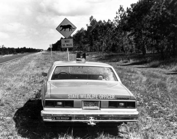 Florida Memory • Patrol car in Panther speed zone