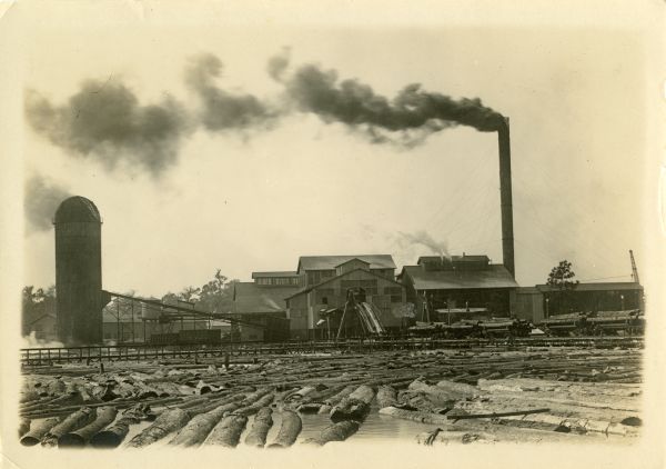Florida Memory • Cypress logging mill - Perry, Florida
