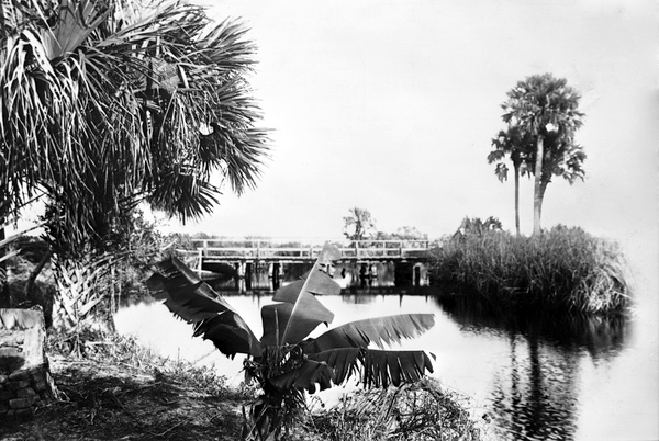 Florida Memory • Bridge over Taylor Creek - Fort Pierce, Florida.