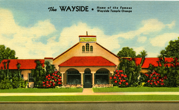 Florida Memory • Wayside Packing House - Mount Dora, Florida