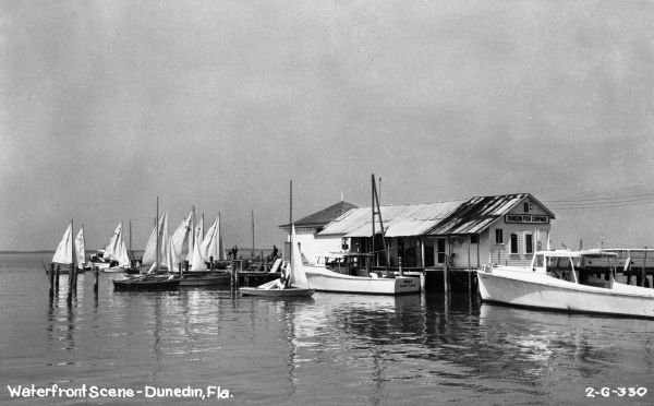 Florida Memory • Waterfront scene - Dunedin, Florida