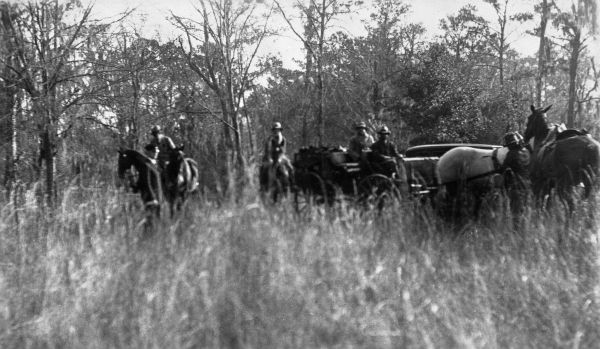Florida Memory • Wagon and ponies starting on a quail shooting expedition