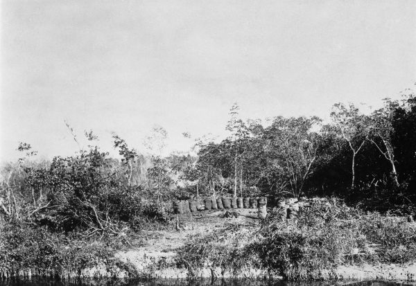 Florida Memory • Bags of charcoal made from Buttonwood ready to ship to ...