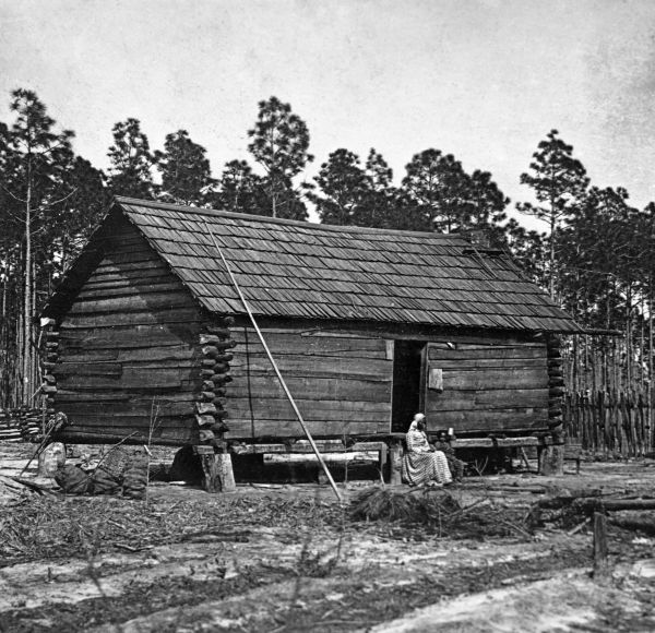 Custom Log Cabins Florida
