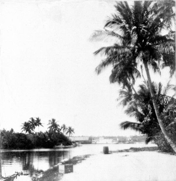 Florida Memory • View of Miami River