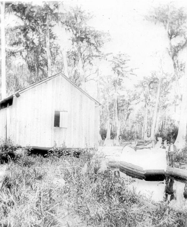 Florida Memory • Orange Creek Landing