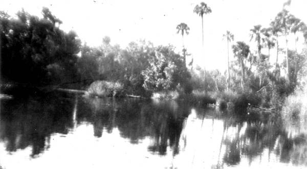 Florida Memory • Little bay, looking west from Majors - Hunter Spring ...