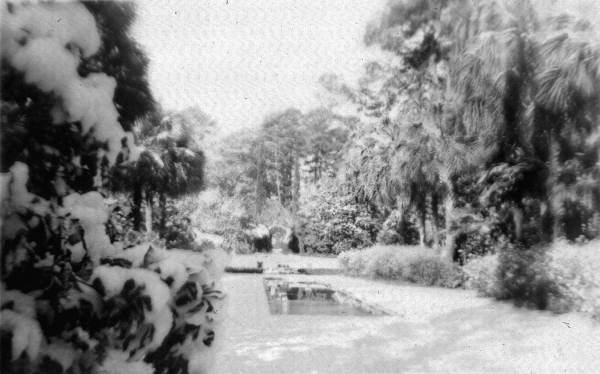 Florida Memory • Snow around the reflecting pool at Killearn Garden ...