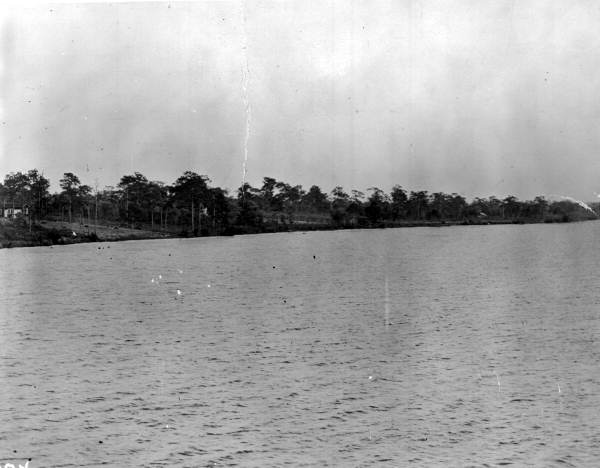 Florida Memory • Panoramic view along Lake Jackson - Sebring, Florida.