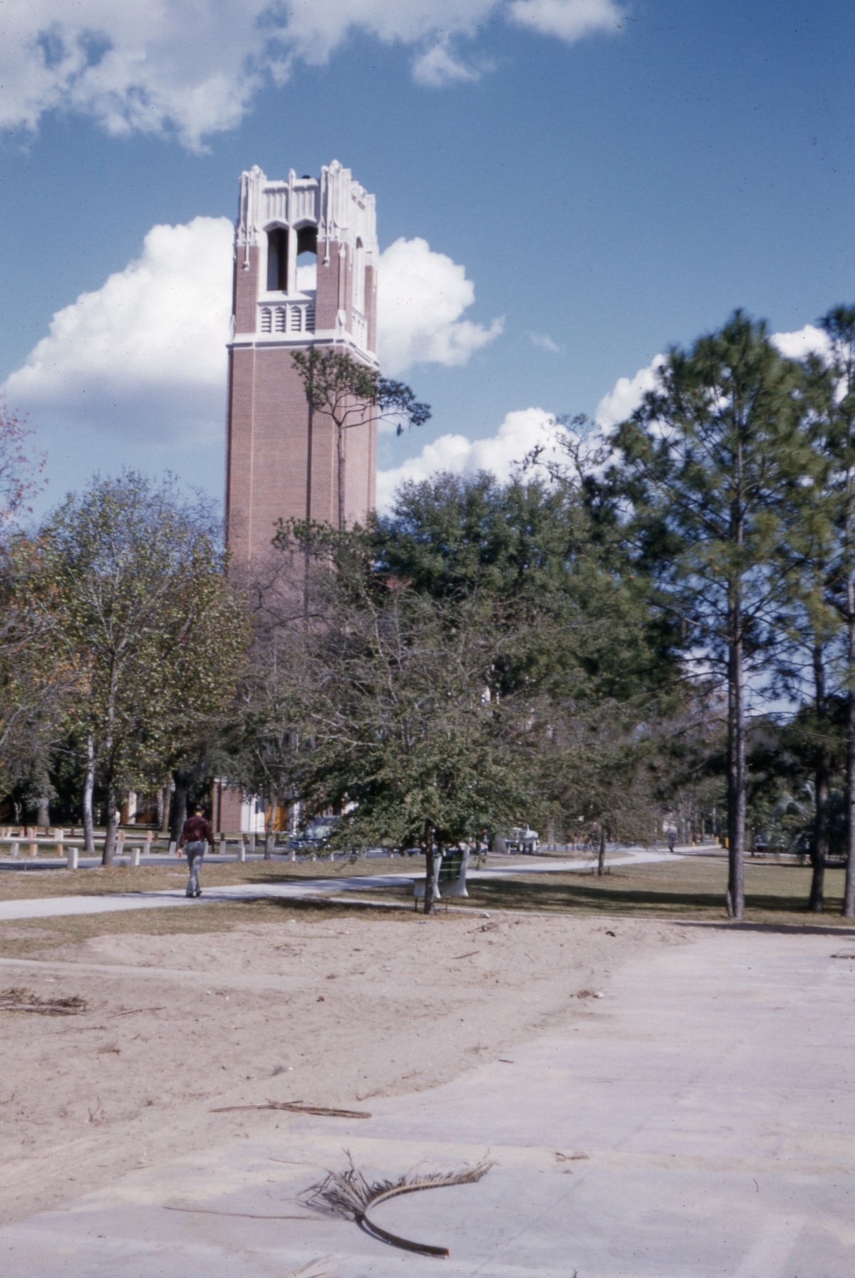 Florida Memory • Century Tower on University of Florida campus ...