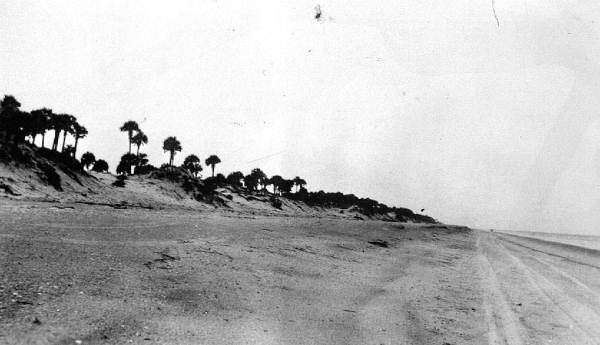 Florida Memory • Beach five miles south of Mineral City, showing shell ...