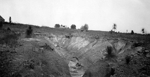 Florida Memory • Gully in clay with limonitic sandstone layer at top ...