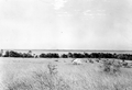 Florida Memory • View of Lake Harris from entrance to residence of W.J ...