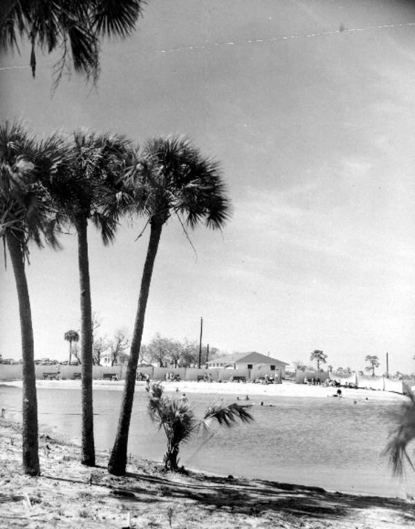 Florida Memory • Warm Salt Springs - Sarasota County.