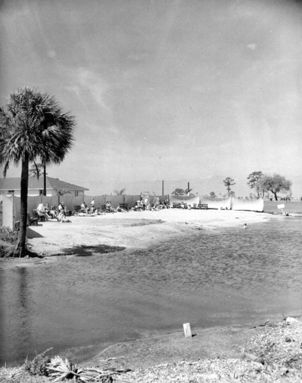 Florida Memory • Warm Salt Springs - Sarasota County.