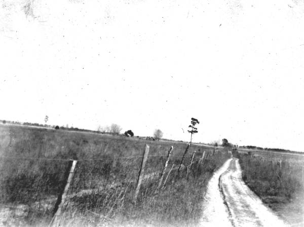 Florida Memory • The Chiefland Limestone Plain northeast of Chiefland