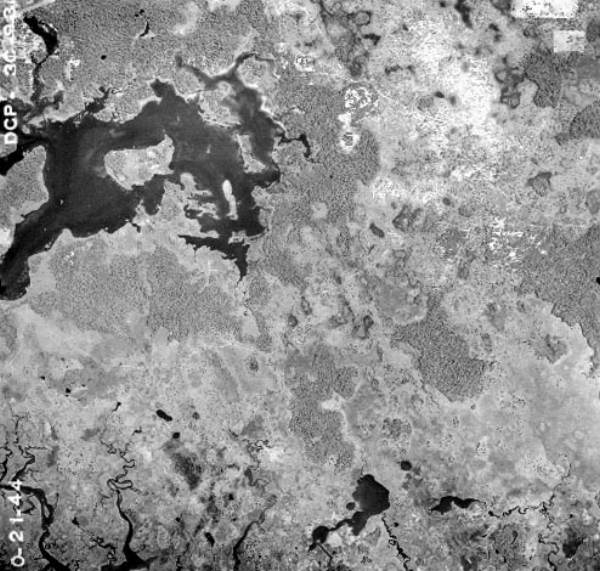 Florida Memory • Panoramic view of an aerial photograph of Crystal ...