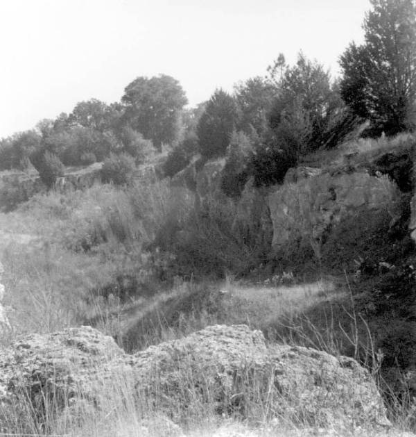 Florida Memory • Panoramic view of an abandoned quarry in Suwannee County