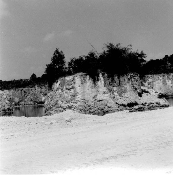 Florida Memory • Panoramic view of Buda Pit of the Williston Shell Rock ...