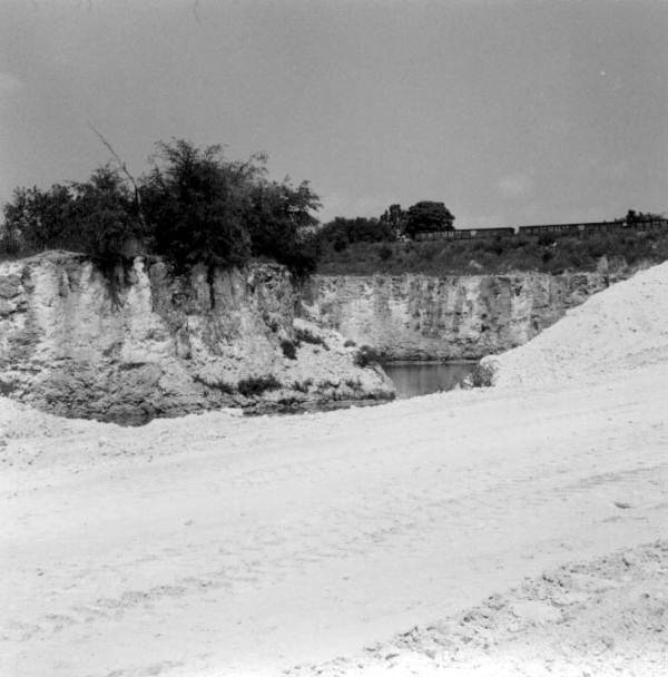 Florida Memory • Panoramic view of Buda Pit of the Williston Shell Rock ...
