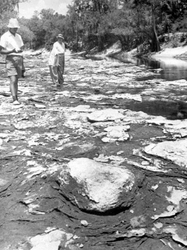 Florida Memory • View of beach area composed of algal dolomite plate