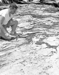 Florida Memory • View of beach area composed of algal dolomite plate