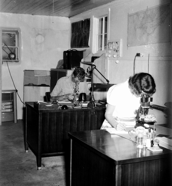 Florida Memory • Researchers examining biological samples through ...