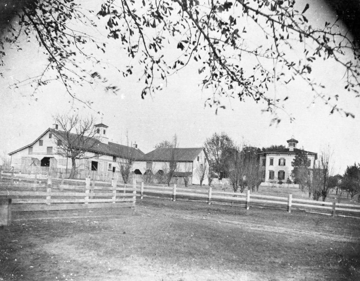 Florida Memory • John L. Inglis home - Madison, Florida