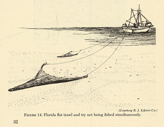 Florida Memory • Net Making and Net Fishing in Florida