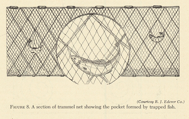 Florida Memory • Net Making and Net Fishing in Florida