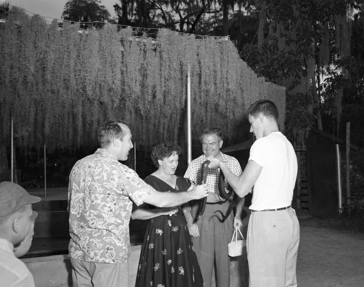 Florida Memory • Visitors petting a snake at Ross Allen's Reptile ...