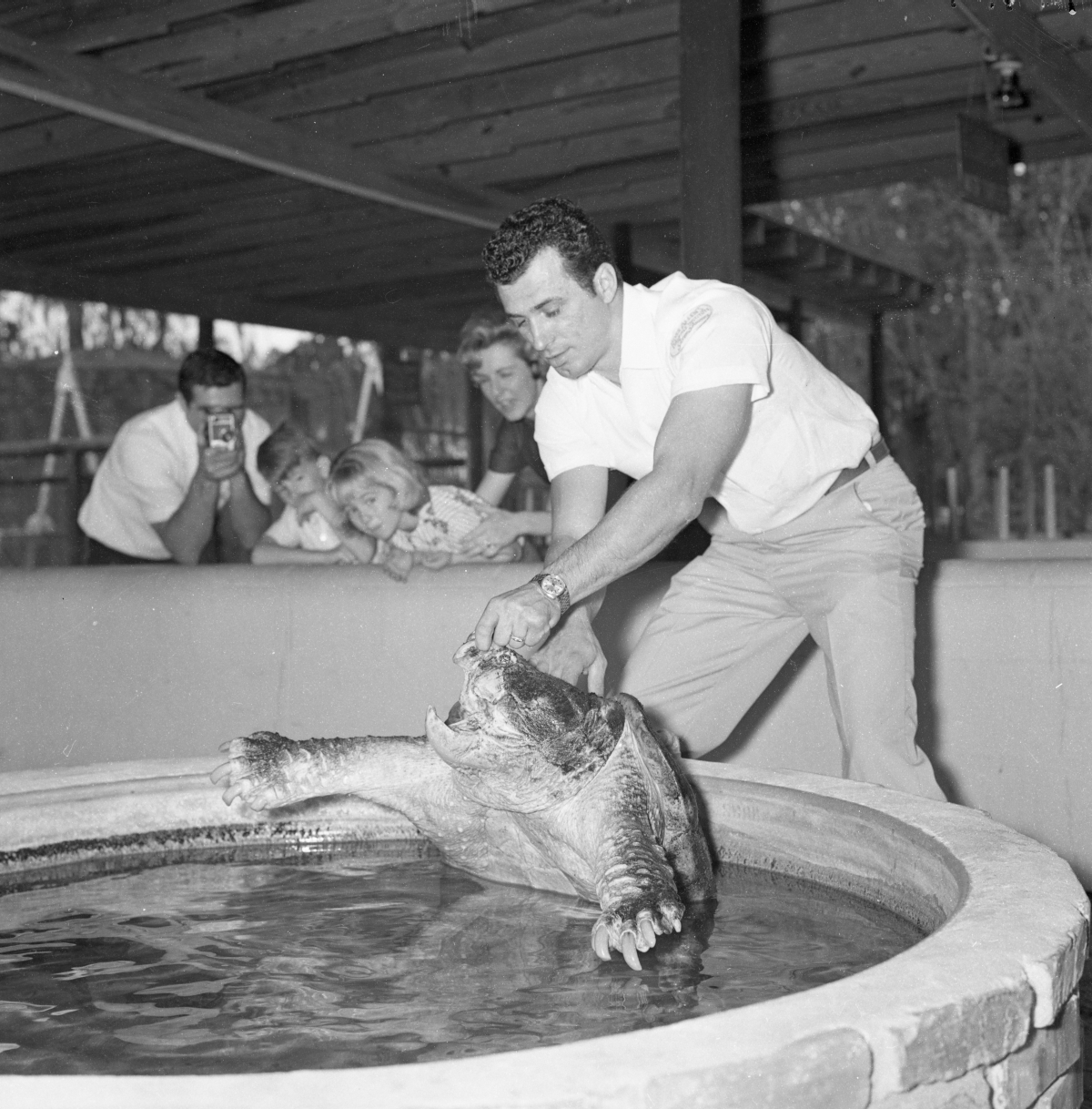 Florida Memory • Tourists watching Andy Koukoulis with large snapping ...