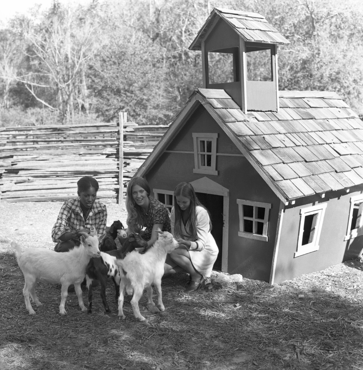 Florida Memory • FSU students bottle-feeding goats at Tommy Bartlett's ...