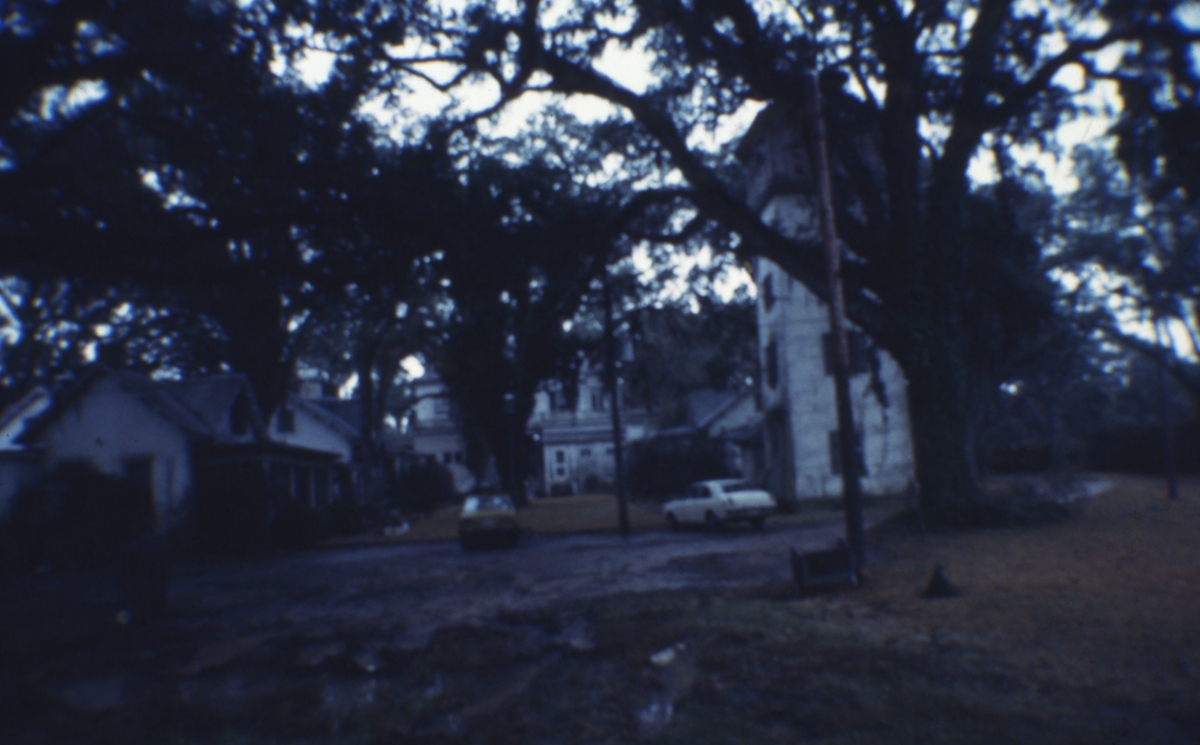 Florida Memory • Photographs of historic Goodwood in Tallahassee