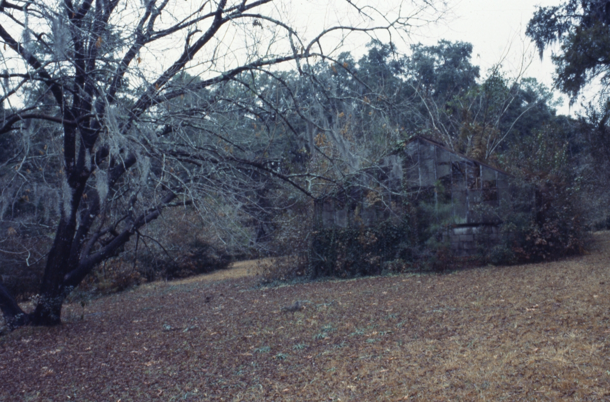 Florida Memory • Photographs of historic Goodwood in Tallahassee