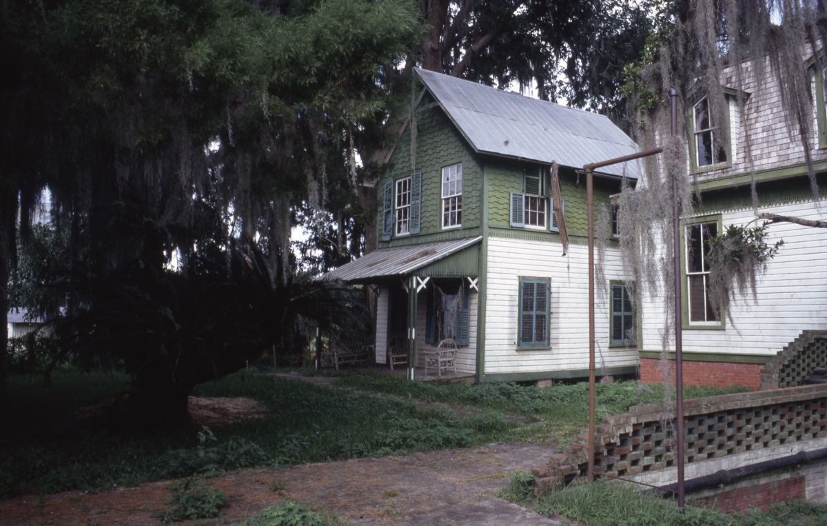 Florida Memory • Photographs of the Palmettos at Fort Gates.