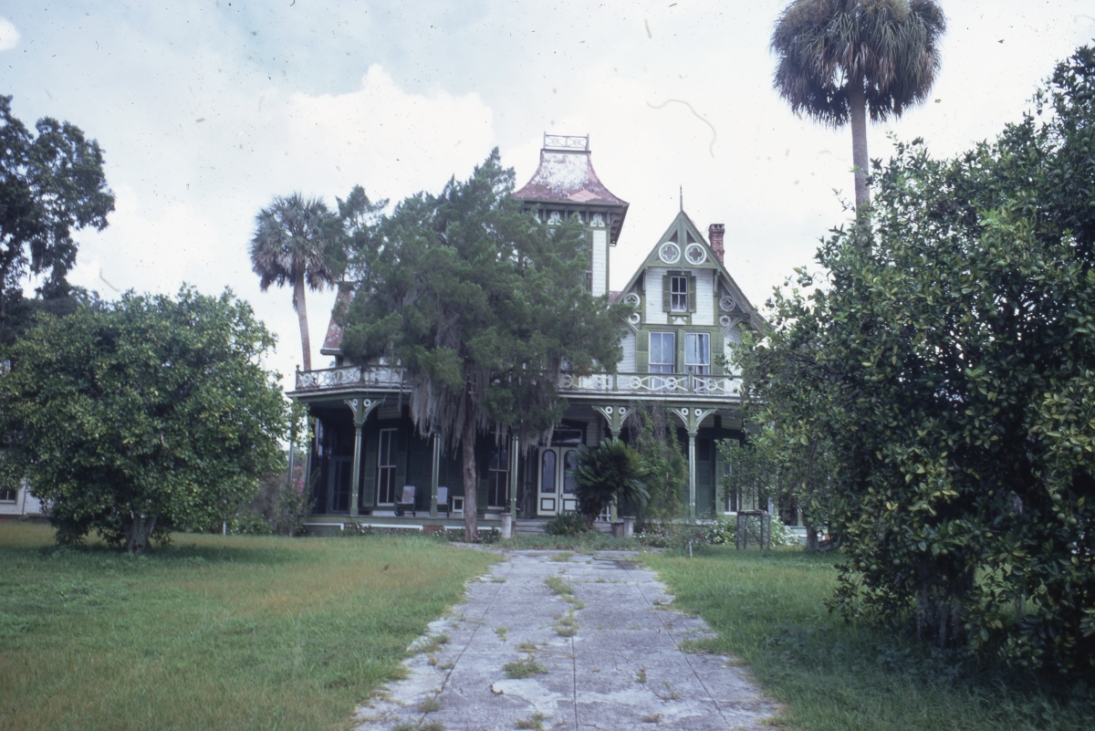Florida Memory • Photographs of the Palmettos at Fort Gates.