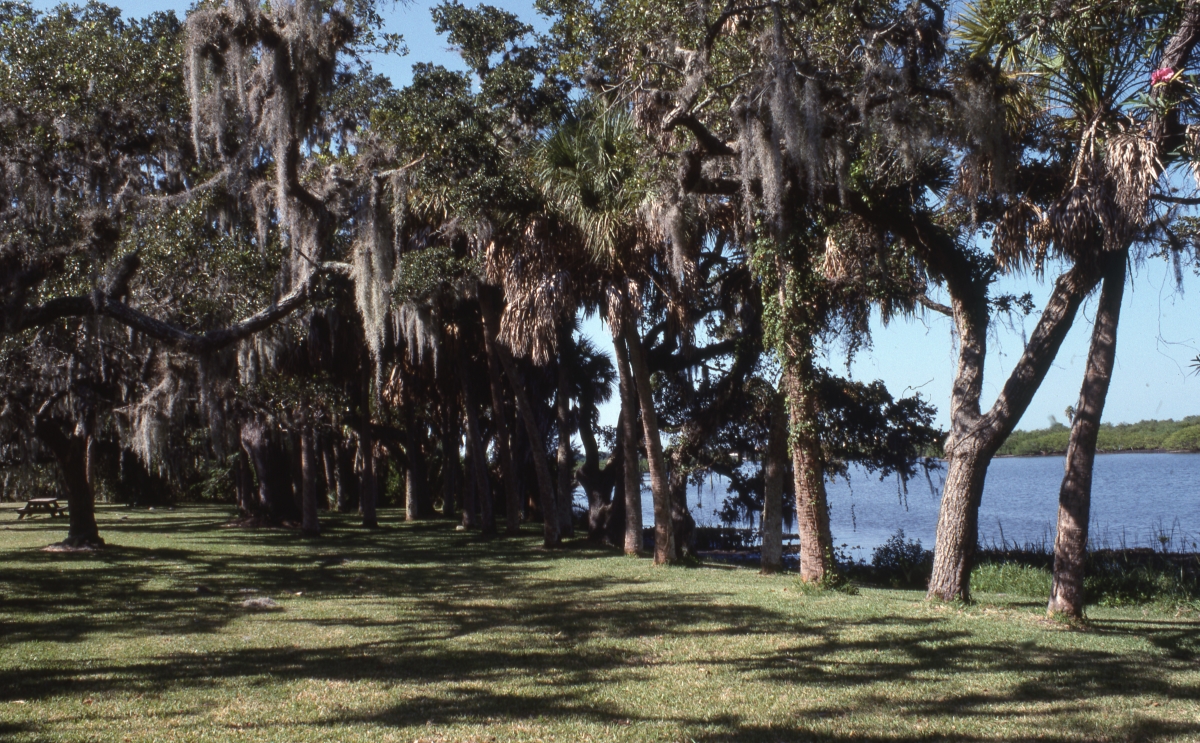 Florida Memory • Photographs of the Edson Keith Estate in Sarasota.