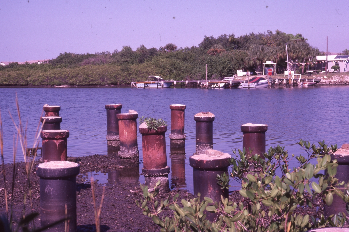 Florida Memory • Photographs of the Edson Keith Estate in Sarasota.