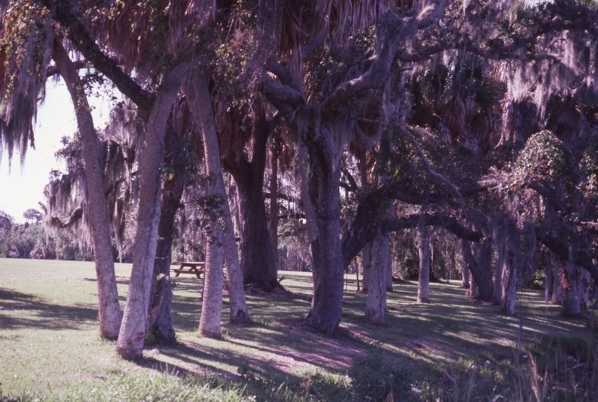 Florida Memory • Photographs of the Edson Keith Estate in Sarasota.