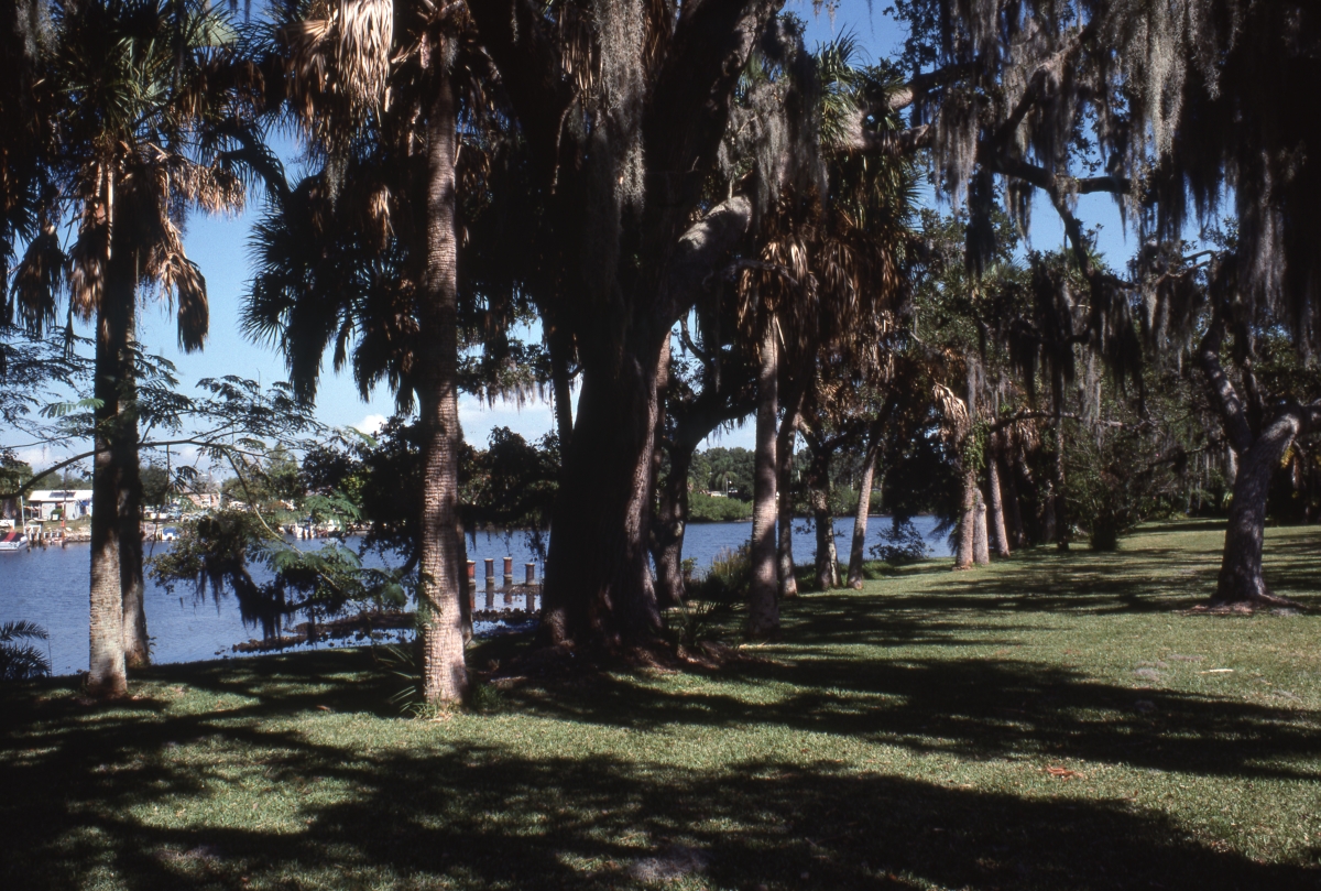 Florida Memory • Photographs of the Edson Keith Estate in Sarasota.