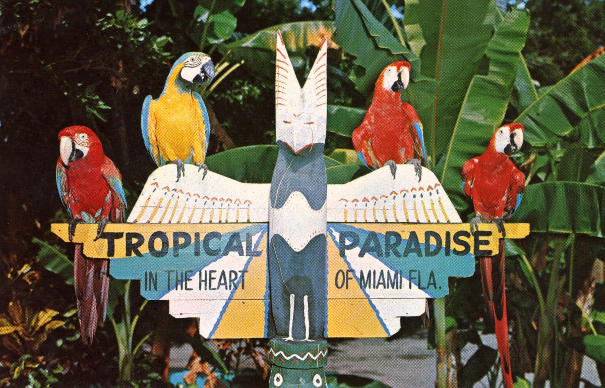 Florida Memory • Macaws on sign at the Tropical Paradise attraction in ...