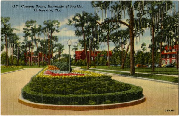 Florida Memory • Campus scene, University of Florida, Gainesville, Fla.